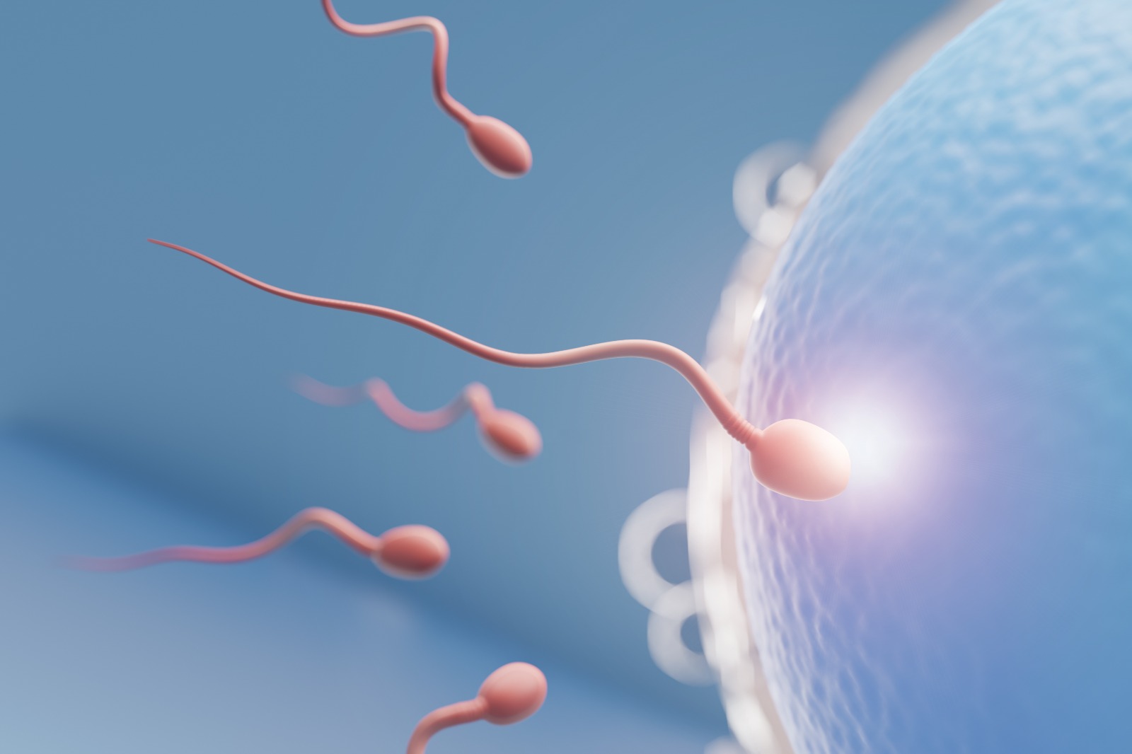 İnfertilite Nedir?