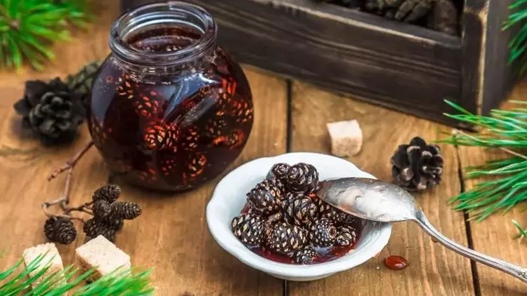 Kozalak Macunu Faydaları Nelerdir?