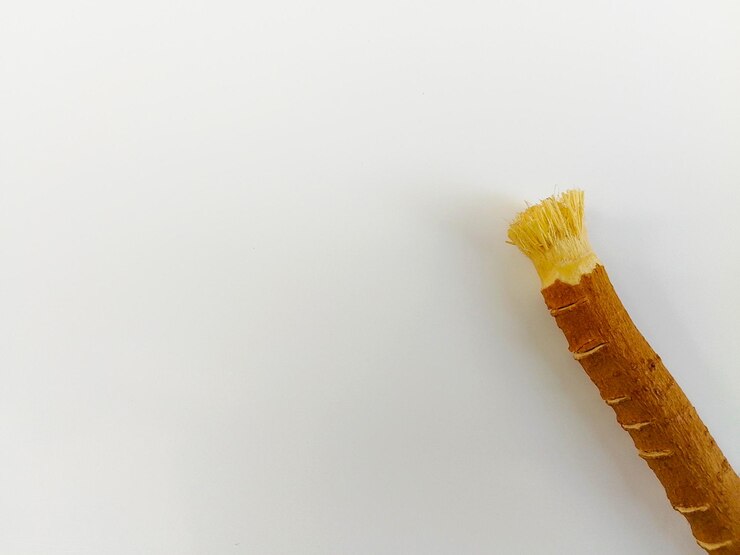 Misvak Faydaları Nelerdir?