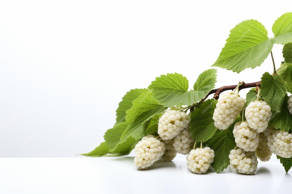 Beyaz Dutun Faydaları Nelerdir?