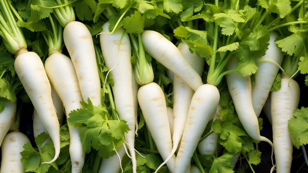 Beyaz Turpun Faydaları Nelerdir?