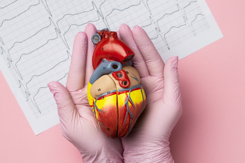 Coronary Artery Bypass Graft (CABG): Procedure, Recovery