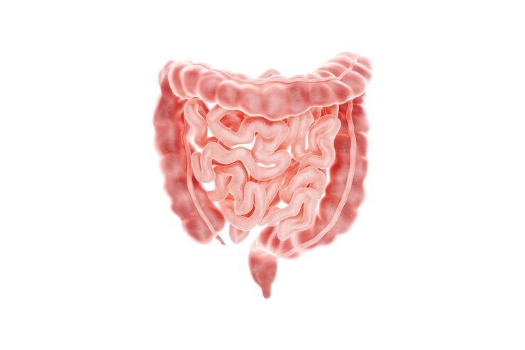 Duodenum (Oniki Parmak Bağırsak) Ülseri Nedir?