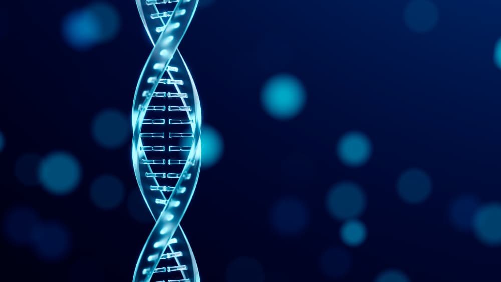 Epigenetik Nedir?