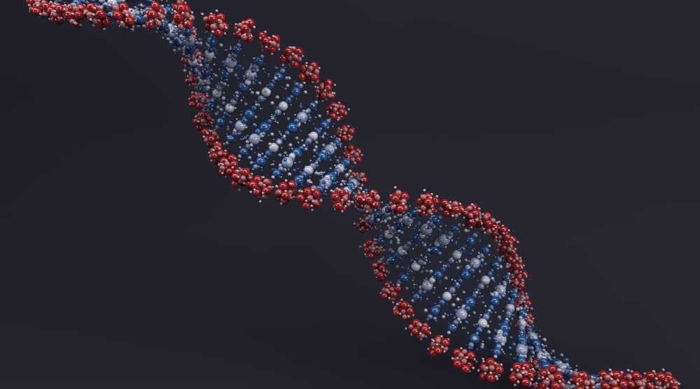 Epigenetik Nedir?