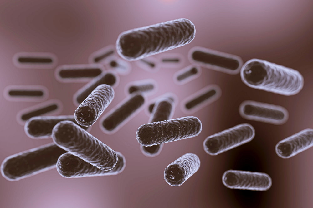 Giardia Nedir? Giardia Belirtileri ve Bulaşma Yolları