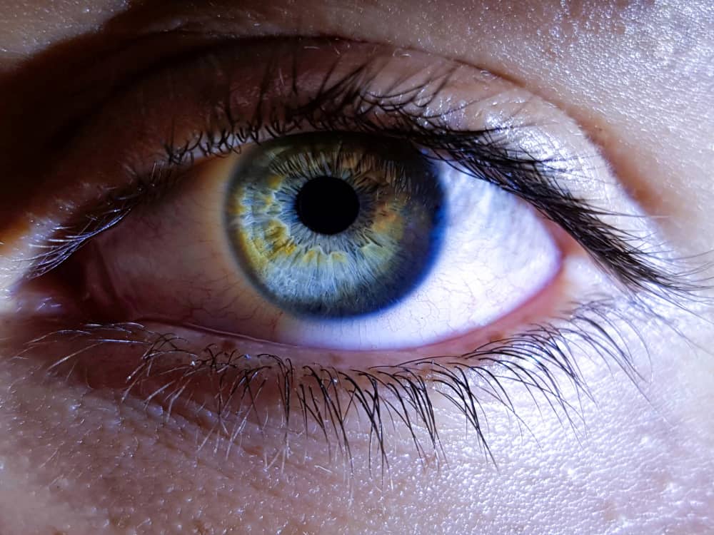 Göz Renkleri Nasıl Oluşur?