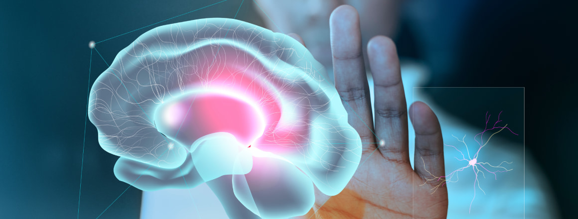 Limbik Sistem Nedir?