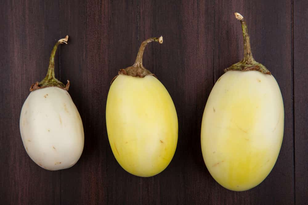 Pepino Nedir? Pepino Meyvesi Faydaları Nelerdir?