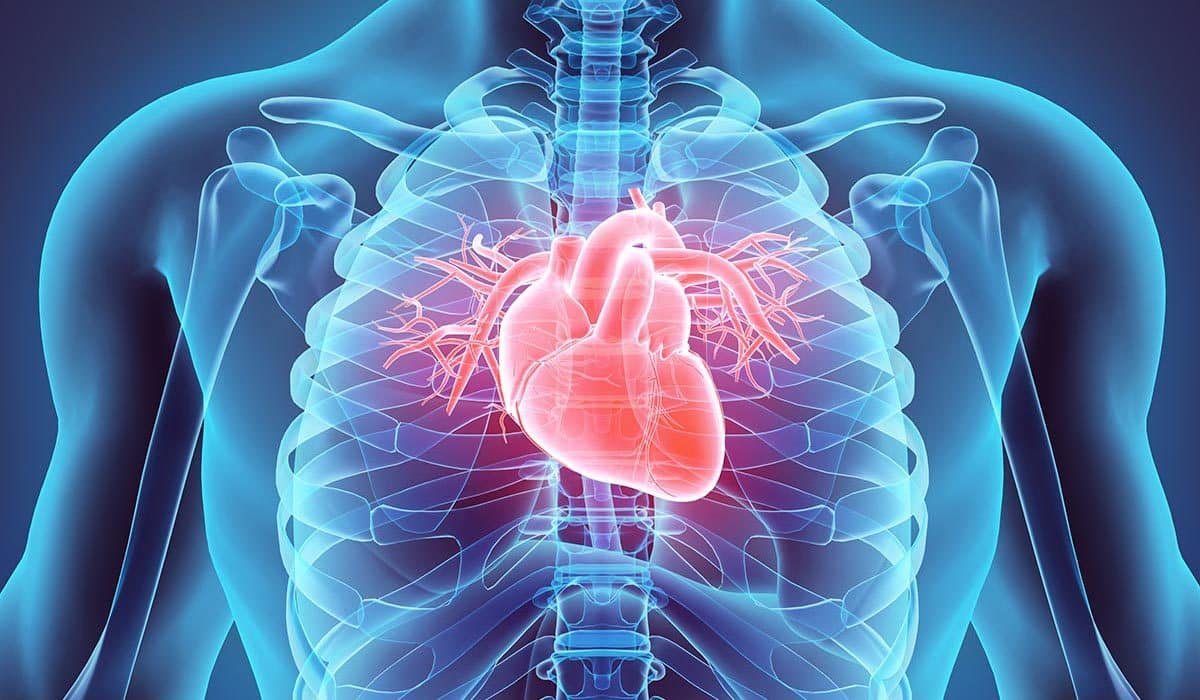 PFO (Patent Foramen Ovale) Nedir? PFO Belirtileri ve Tedavisi