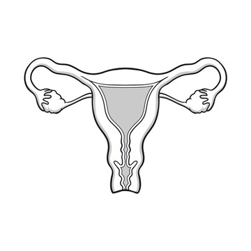Tıpta Rahim İçi İltihabı (Endometrit) Nedir?