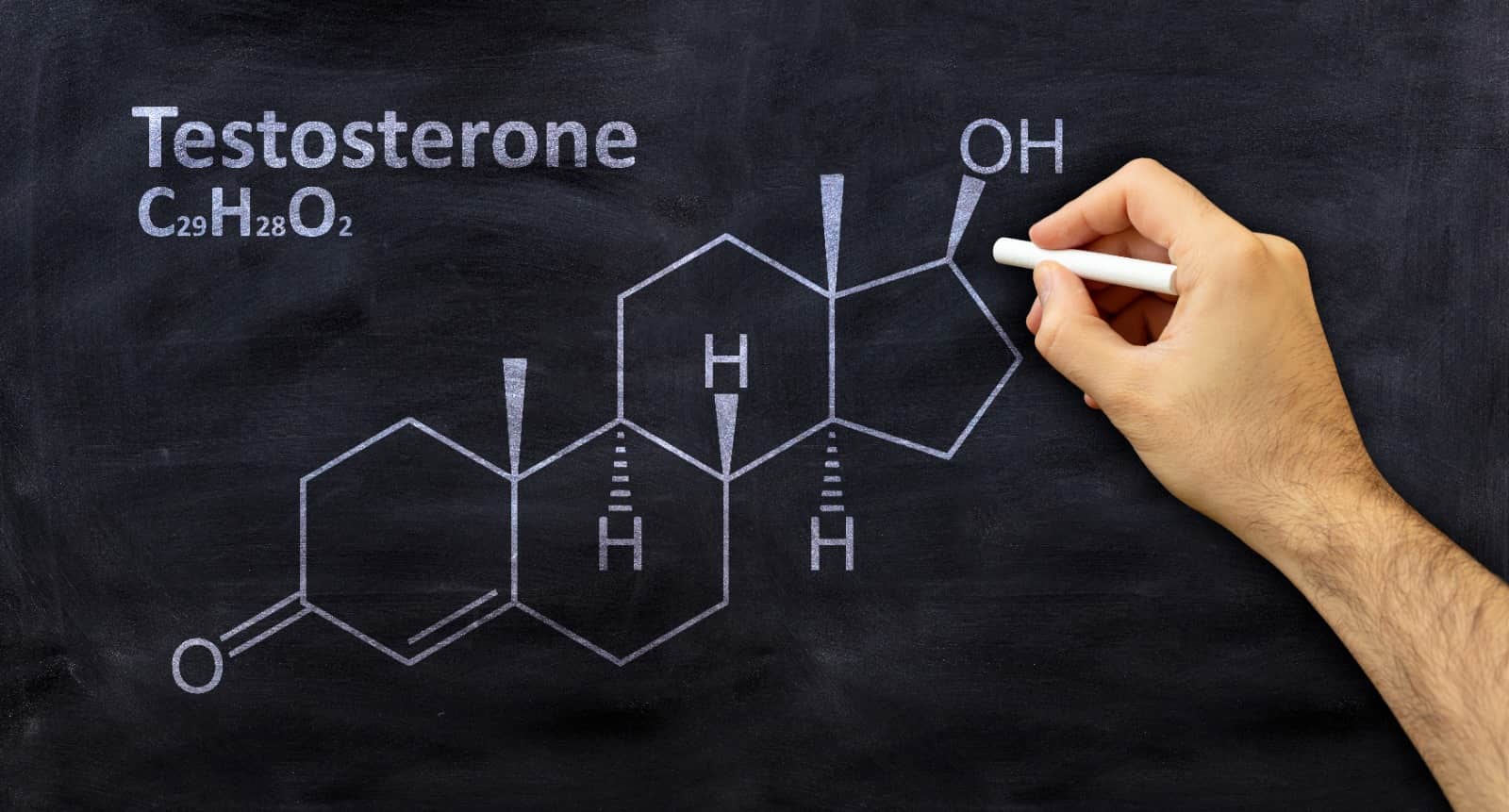 Testosteron Nedir? Nasıl Arttırılır?