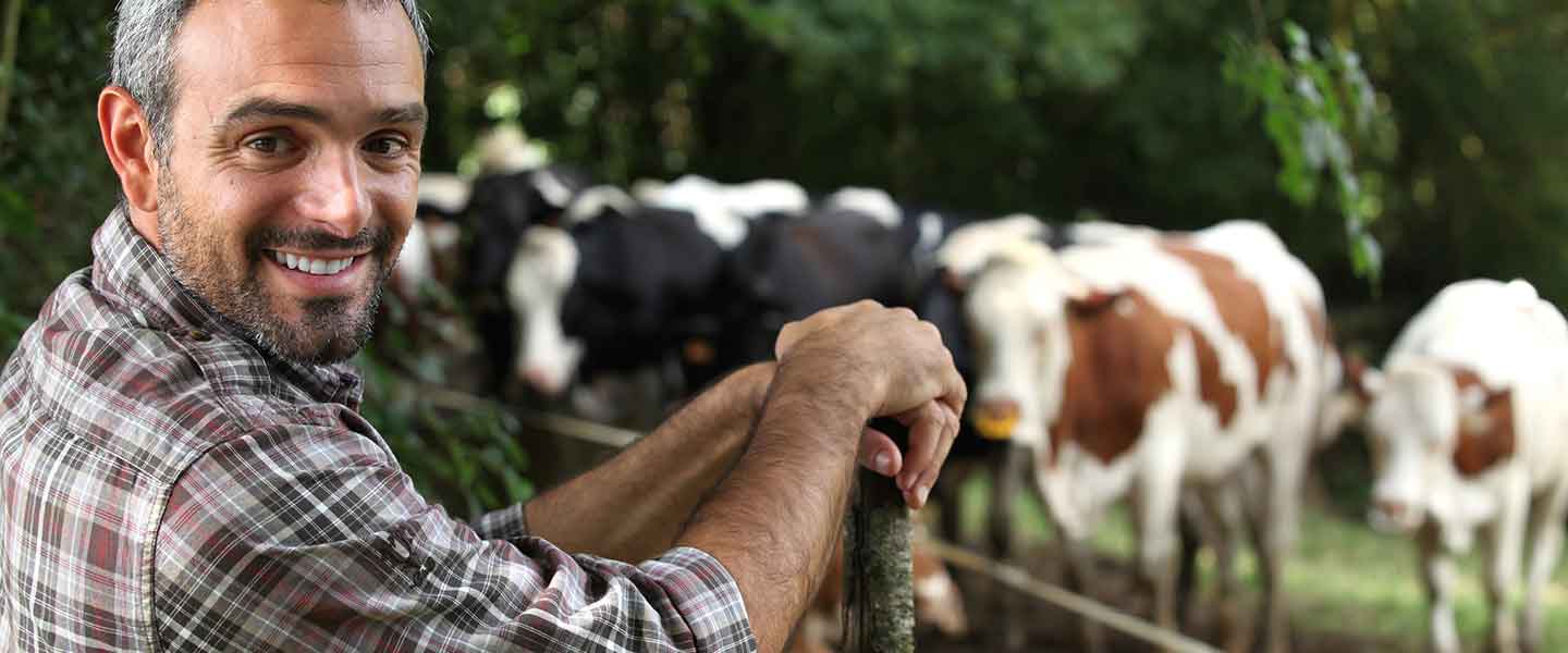 Brusella Nedir? Nasıl Bulaşılır?