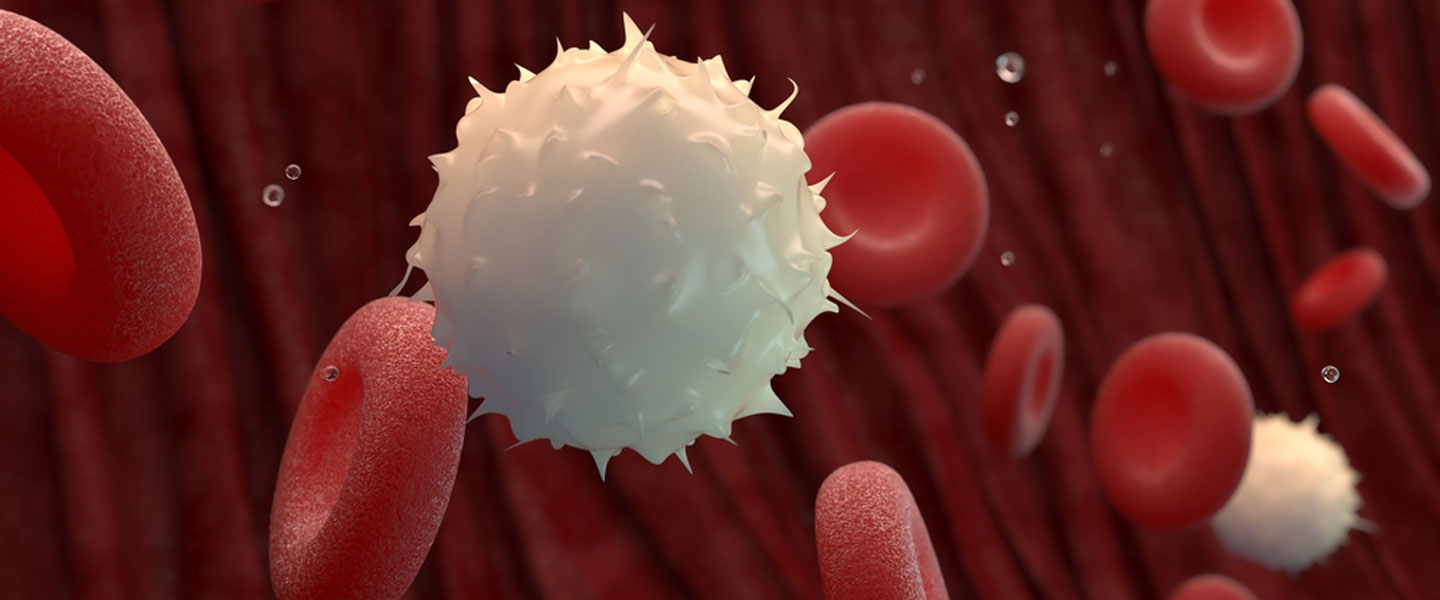 WBC Nedir? WBC Yüksekliği ve Düşüklüğü Ne Anlama Gelir?